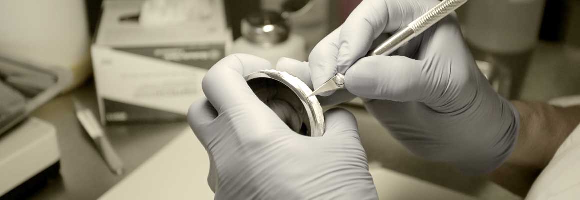 2PS - Plasma spray coating orthopedic and surgical implants